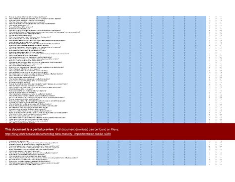 Big Data Maturity Implementation Toolkit Template Excel Xls