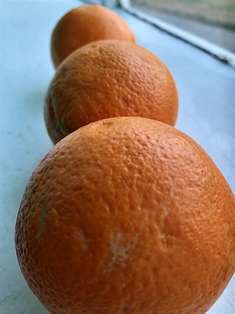 Assignment 3 Part 1 All Danielle Deshazo Flickr