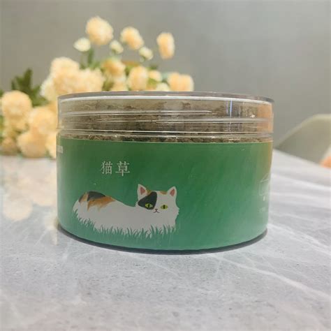 白送大菠萝宠物懒人猫草杯水培浇水就能活去毛球化毛猫咪用品 虎窝淘