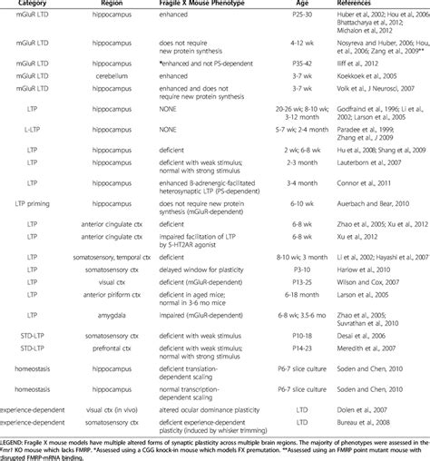 Fragile X Mouse Synaptic Plasticity Phenotypes Download Table