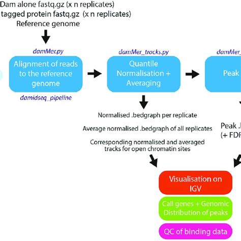 Summary Flowchart Of The Basic Workflow Of Nanodam Binding Data