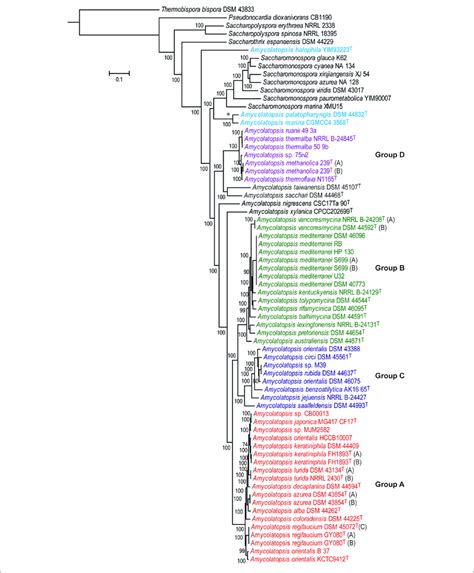 A Maximum Likelihood Tree Derived From Concatenated Core Protein