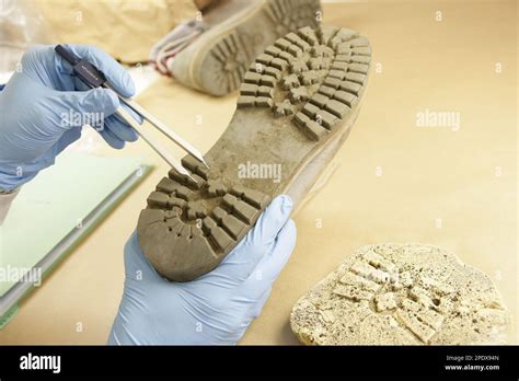 A Forensic Scientist Matching A Plaster Cast Of A Boot Print With Real