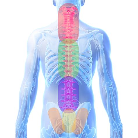 What Could Be Causing Your Back Pain Dayton Orthopaedic Surgery