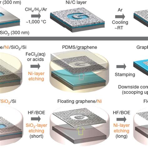 Schematic Of Oled Structures With Encapsulation A Conventional Glass Download Scientific