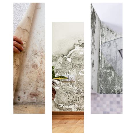 Why Does Damp Decrease House Value Damp Experts Answers