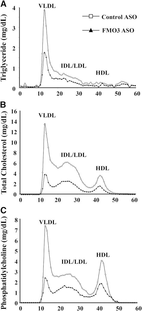 Flavin Containing Monooxygenase 3 Exerts Broad Effects On Glucose And Lipid Metabolism And