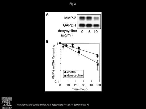 Mechanism Of Inhibition Of Matrix Metalloproteinase 2 Expression By Doxycycline In Human Aortic