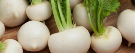 芜菁是什么蔬菜 业百科