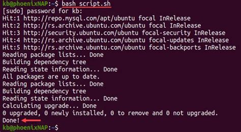 Bin Bash Bad Interpreter Issue Fixing Guide 2024