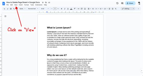 How To Delete Page Break In Google Docs 6 Easy Steps