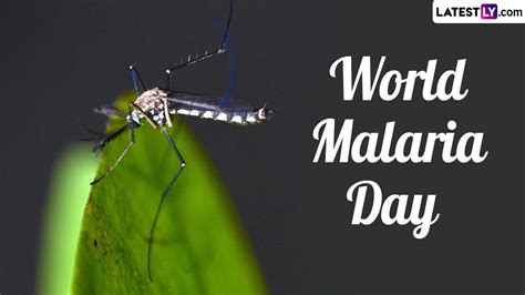 Health And Wellness News When Is World Malaria Day Everything To Know