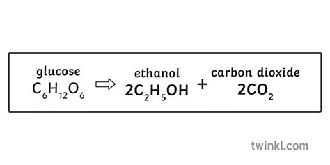 Fermentation Equation Science Secondary Black And White Rgb Illustration