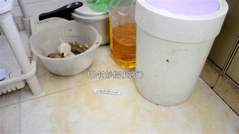 家里有蚂蚁不用开水烫一个小方法蚂蚁来多少灭多少涨知识 6park