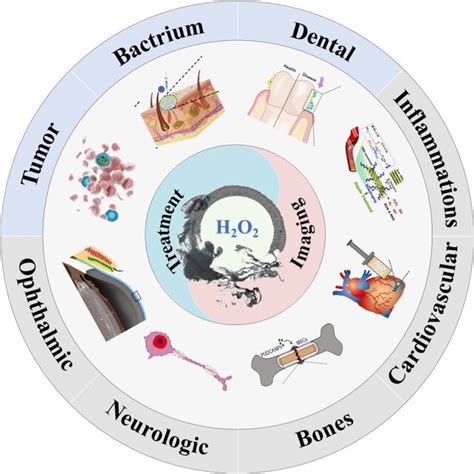 The Typical Mechanism Of H2O2 Responsive Nanomaterials In The Download Scientific Diagram