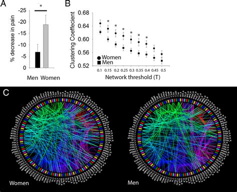 Sex Difference In Brain Network Properties And Analgesic Response To Download Scientific