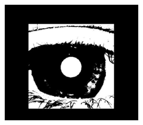 the result of the proposed inner and outer boundaries localization download scientific diagram