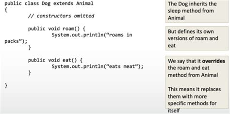 Programming I Polymorphism Flashcards Quizlet