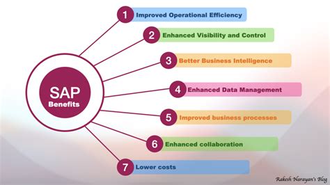 What Is SAP Rakesh Narayan S Blog
