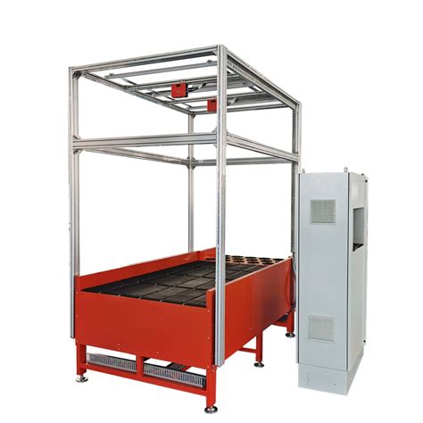 Singulation Conveyor