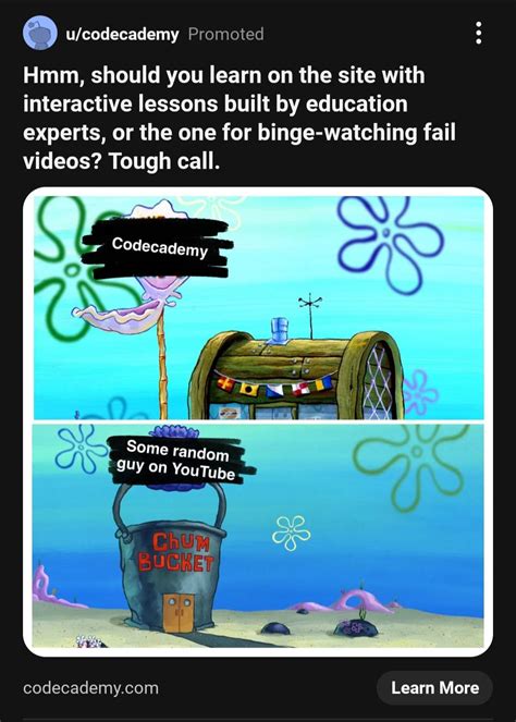 Codecademy Is Alright But Dont Disrespect My Random Guys On Youtube Rprogramminghorror