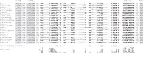 Figure 2 From S6 S18 Ribosomal Protein Complex Interacts With A Structural Motif Present In Its