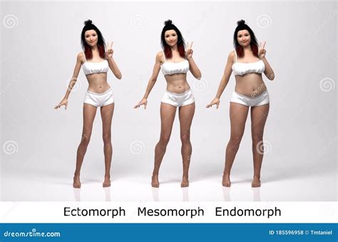 3ª Representación El Retrato Del Tipo De Cuerpo Femenino Ectomorfo