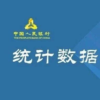 2021年8月社会融资规模存量统计数据报告 同比增长