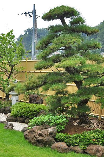 和風の庭の魅力とは？庭園形式やデザインの解説、構成素材もご紹介 千葉県 東京都の造園 植栽 庭施工 【造園業専門店 新美園】