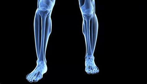 √ Prosedur And Biaya Rontgen Kaki Di Klinik Prodia 2023 Harga Biaya