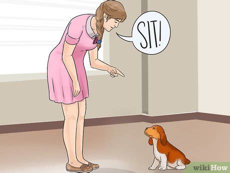 3 Ways To Exercise Your Puppy WikiHow Pet