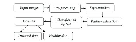 Skin Cancer Classification Model Download Scientific Diagram
