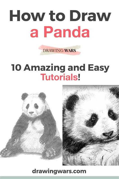 How To Draw A Panda