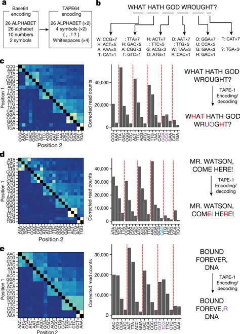 Recording And Decoding Short Digital Text Messages With DNA Download Scientific Diagram