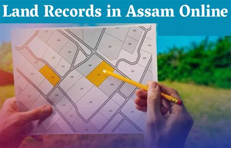 Anganwadi Yojana Scheme 2024 Eligibility Last Date Apply Process