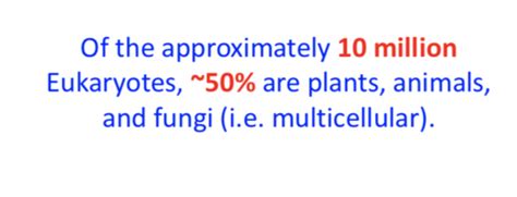 [bio 201] Lecture 14 Flashcards Quizlet