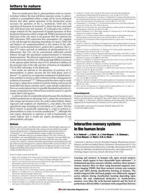 Pdf Interactive Memory Systems In The Human Brain Dokumentips