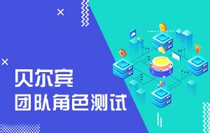 贝尔宾团队角色测试