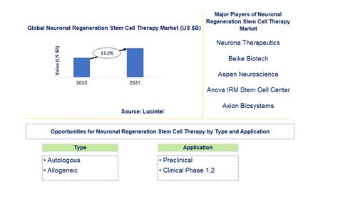 Neuronal Regeneration Stem Cell Therapy Market Report Trends Forecast
