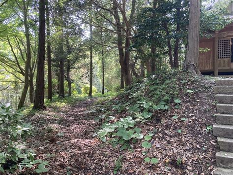 常盤城の見所と写真全国の城好き達による評価 愛媛県愛南町 攻城団