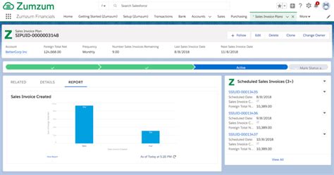 Sales Invoice Plans On Salesforce Zumzum