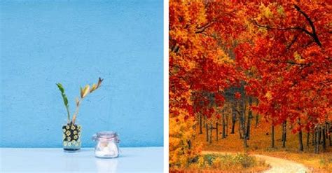 take this eight question color quiz and we ll guess your favorite season