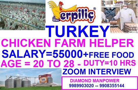 padala reddy on linkedin 9989903020