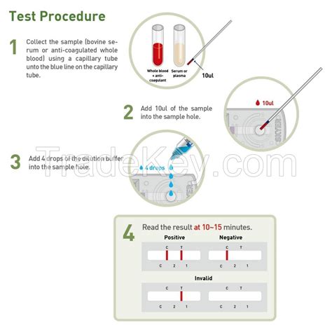 Ridx Bovine Brucella Ab Rapid Test Kit By Skyer South Korea