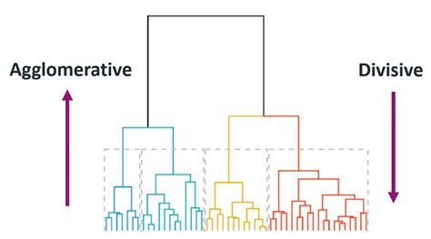 Hierarchical Clustering Concept Overview With Examples Datacamp