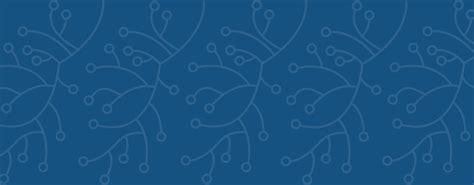 Interactive Map Of Lung Cancer Screening Methodology The Lung Cancer