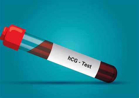 Hcg Levels What Is Hcg Hcg In Men Trt Hcg