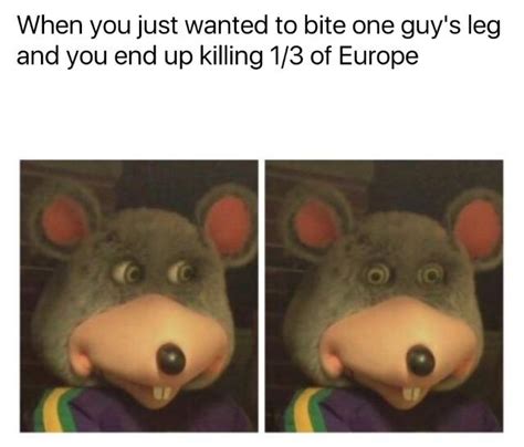 A Collection Of The Very Best Plague Memes