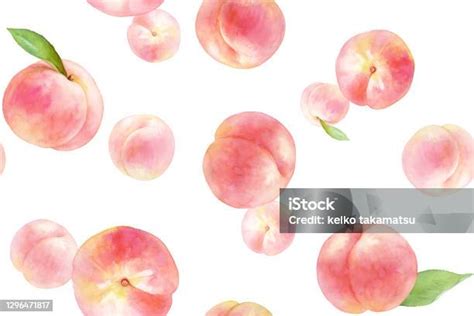 육즙 이 복숭아 수채화 그림 매끄러운 패턴 흰색 배경입니다 백도에 대한 스톡 벡터 아트 및 기타 이미지 백도 일러스트레이션 0명 Istock