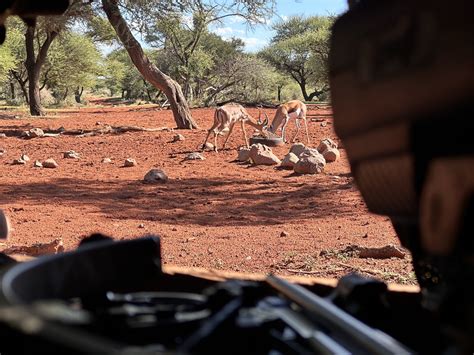 Our Review Burris Oracle X Crossbow Magazine